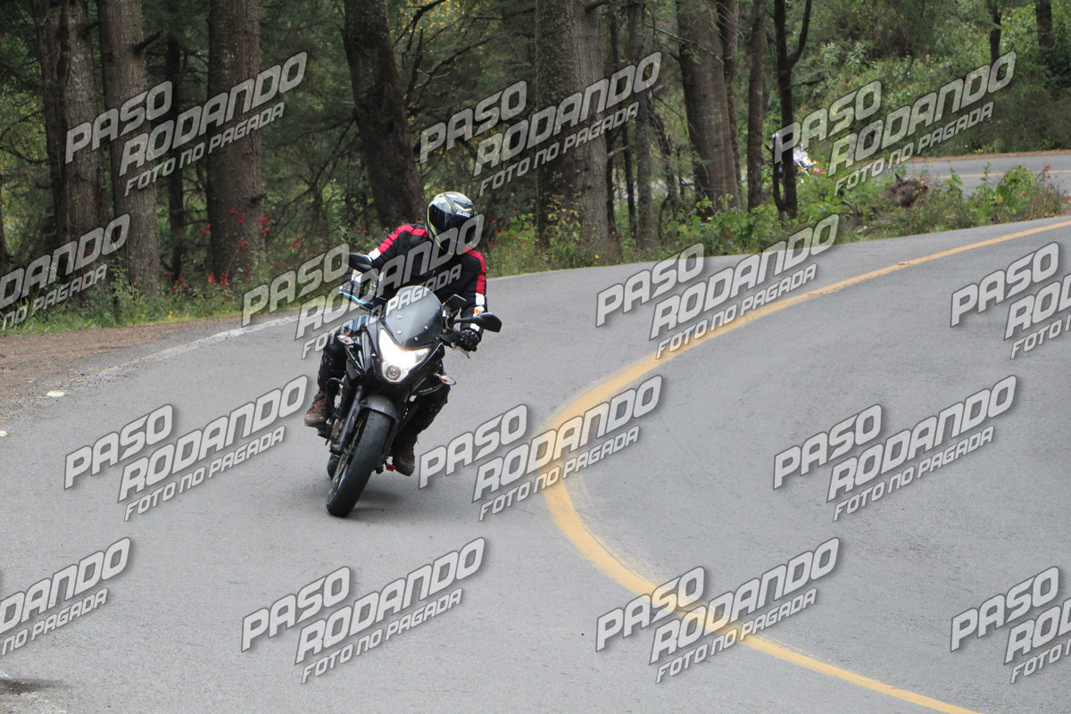 IMG 8975 wm 737231 watermarked — Postimages