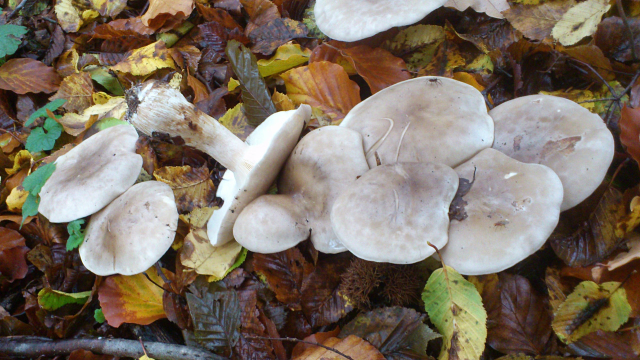 DSC 0134 — Postimages