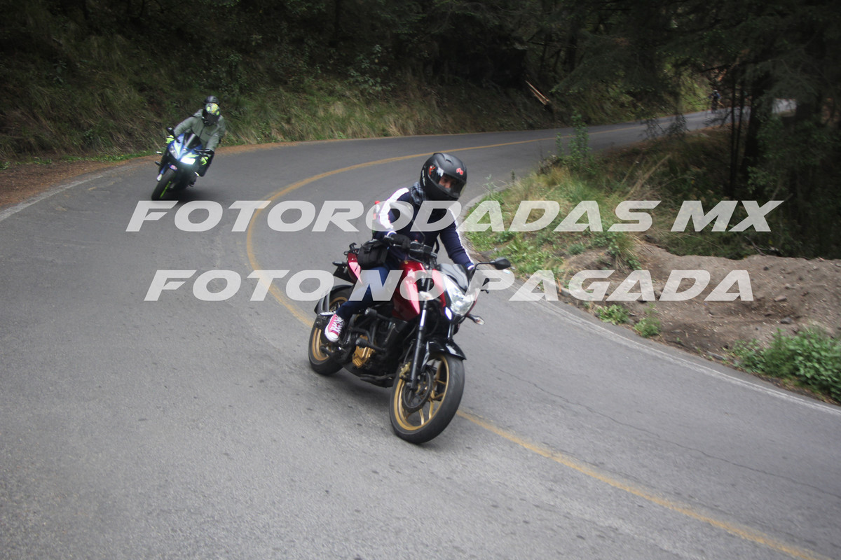 IMG 5139 — Postimages