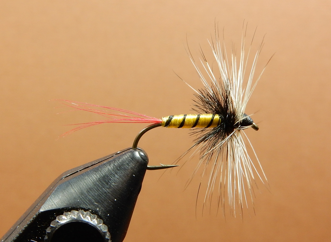 Gray Hackles - Fly Tying - Maine Fly Fish