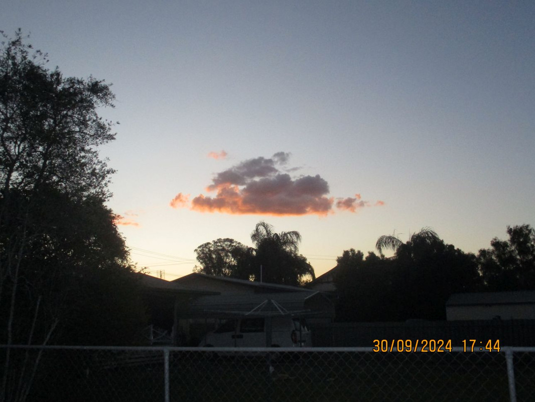 NZFF • A little too late...