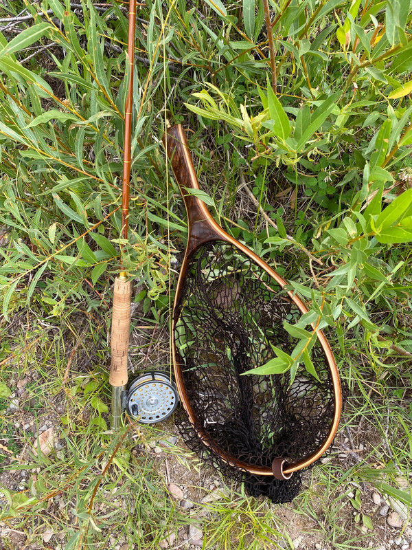 IMG 5451 — Postimages