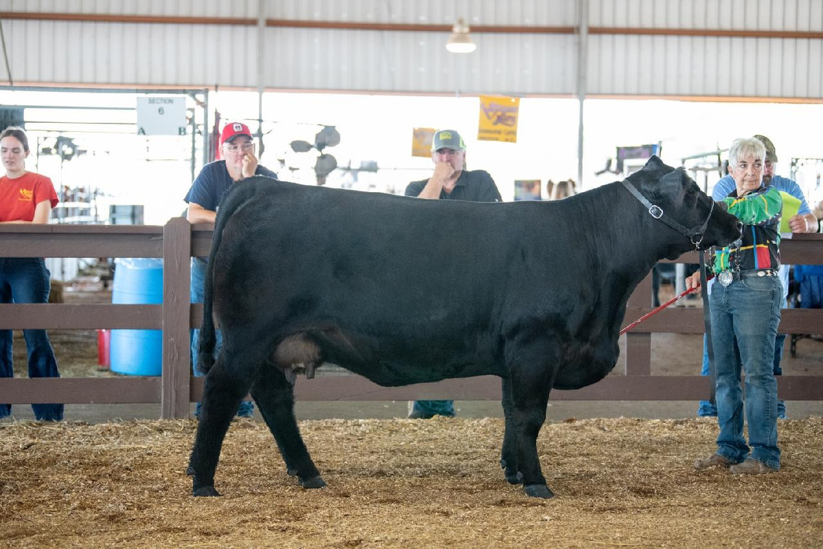 2024 NYSF Kaboom Res Gr c c — Postimages