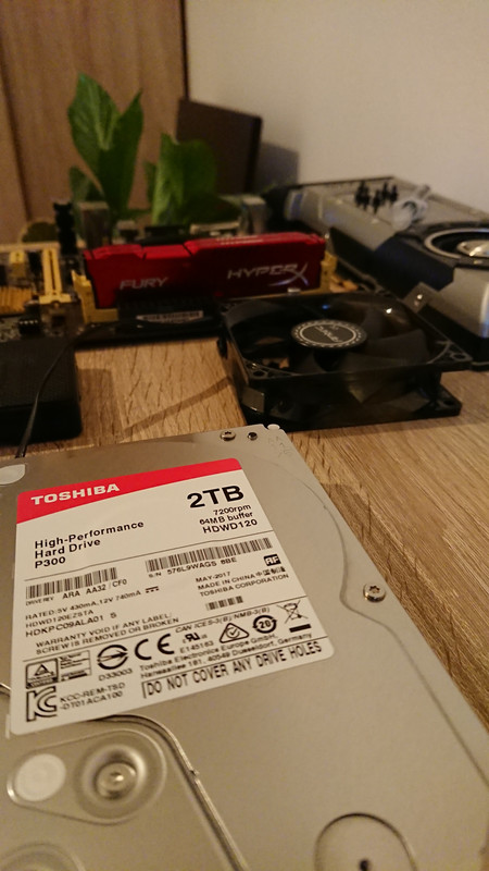 DSC 0816 — Postimages