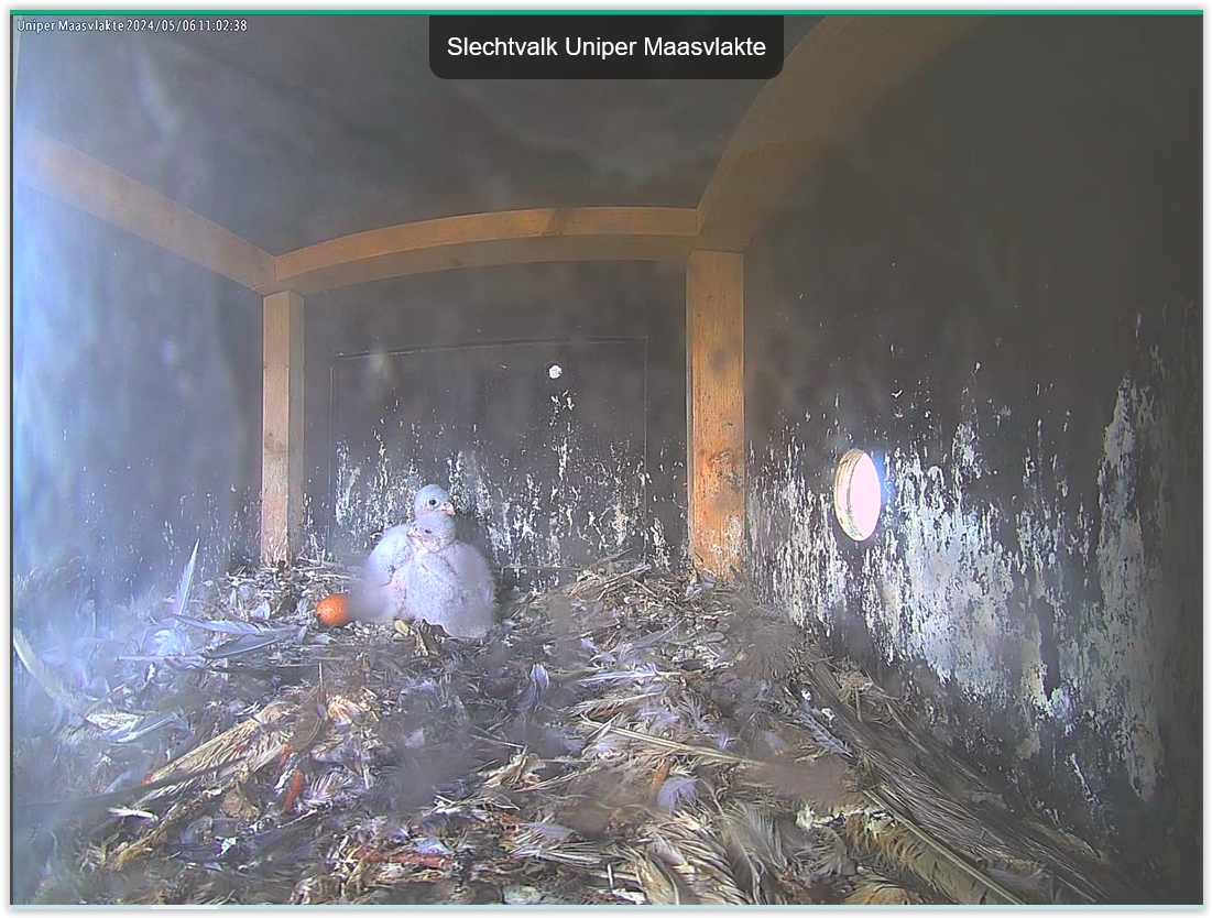 Screen Shot 05 06 24 at 11 03 AM — Postimages