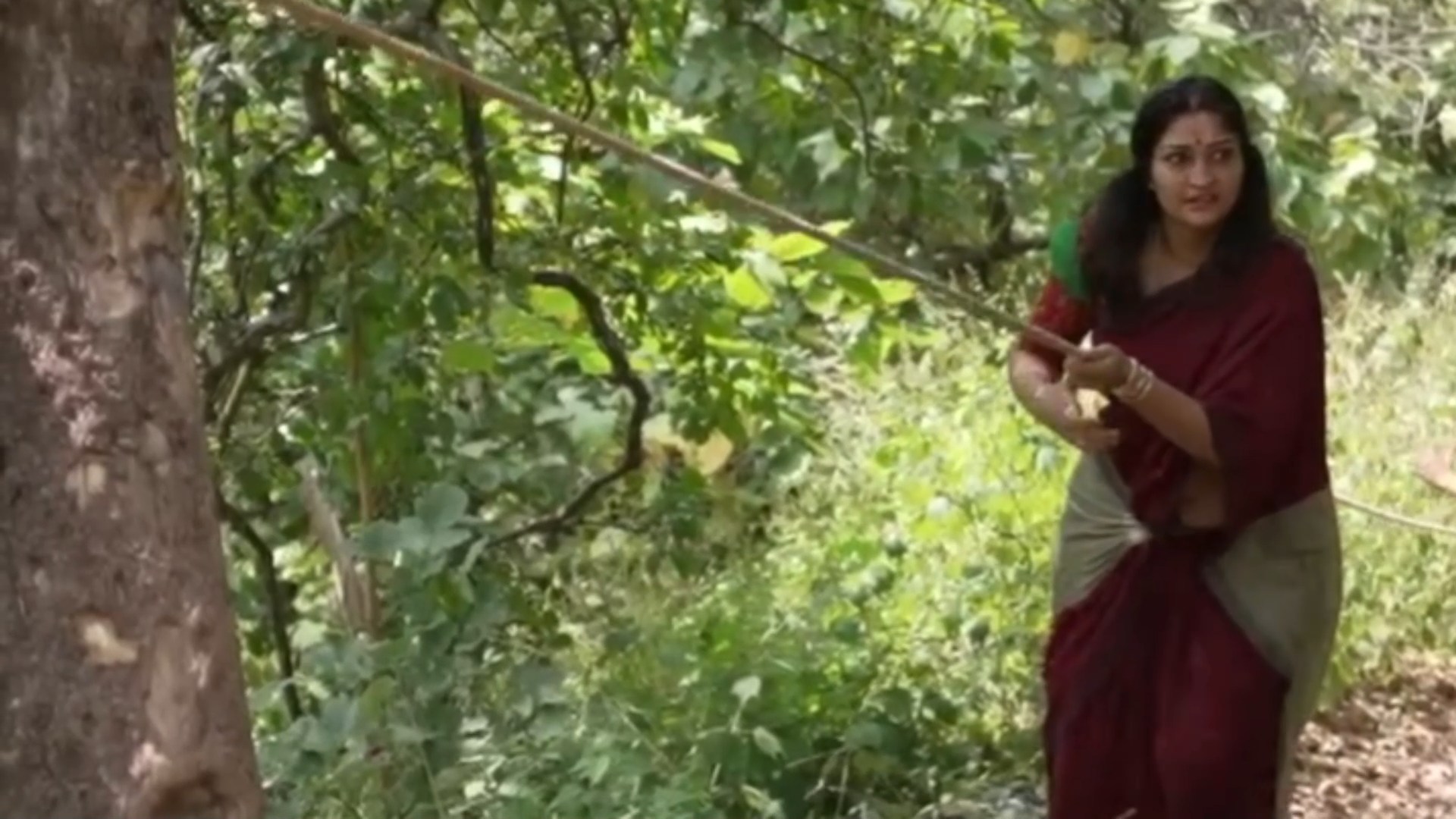 Neelima Rani Sexy Navel Slips in Maroon Saree mp4 snapshot 00 08 442 — Postimages