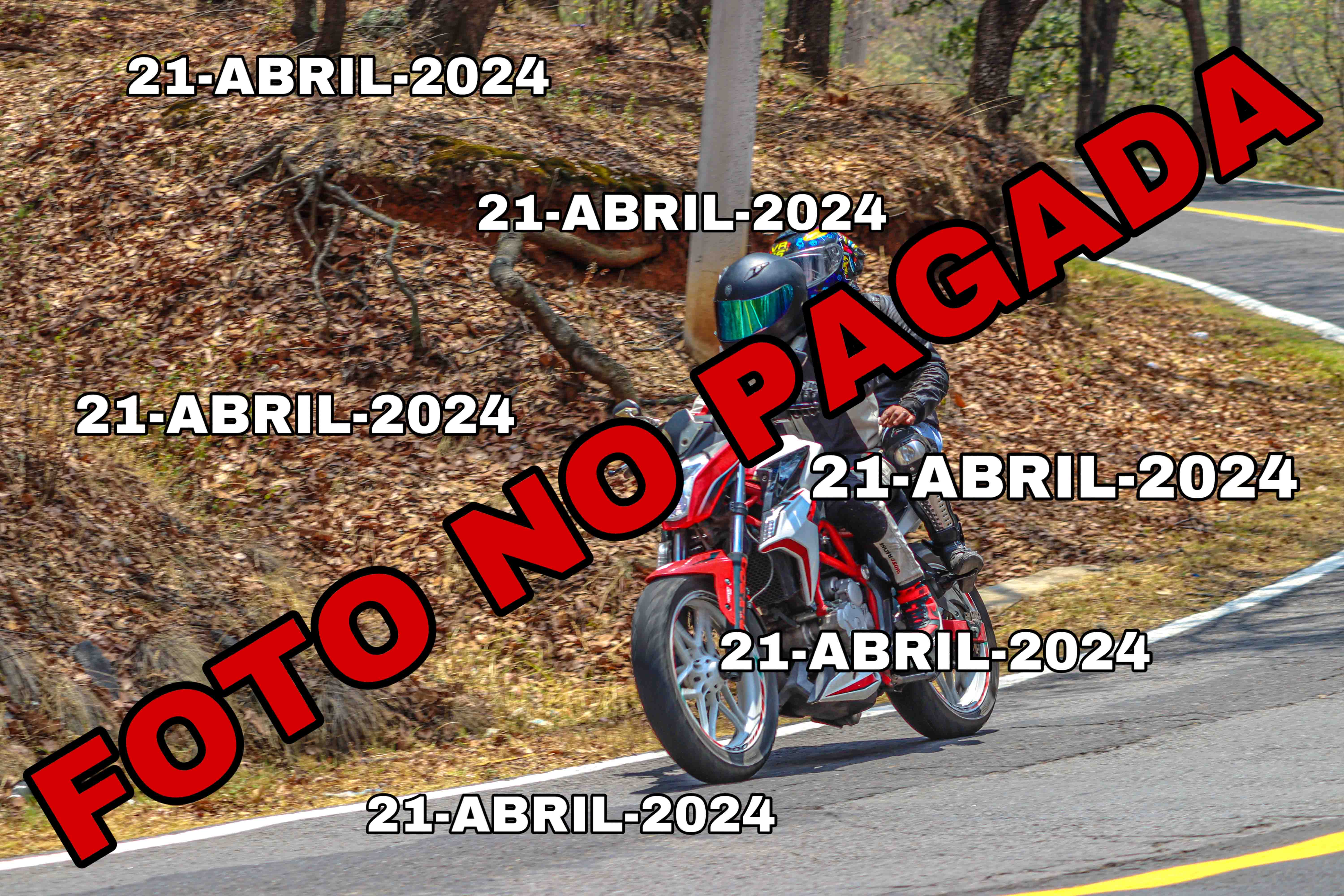 CA 1013 — Postimages