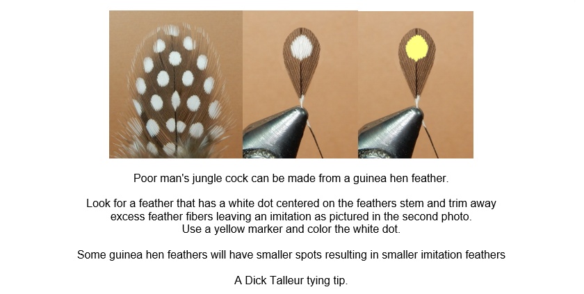 221 poor man's jungle cock — Postimages