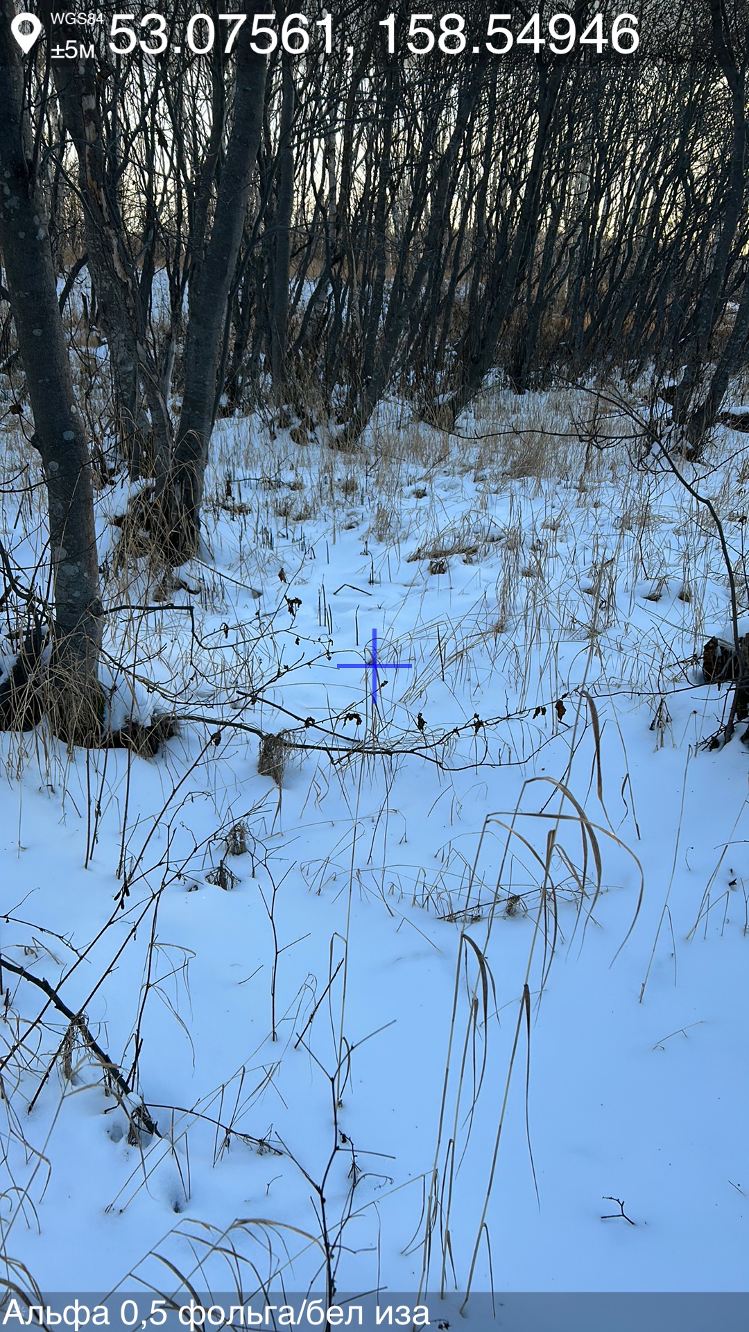 NHHG5245 — Postimages