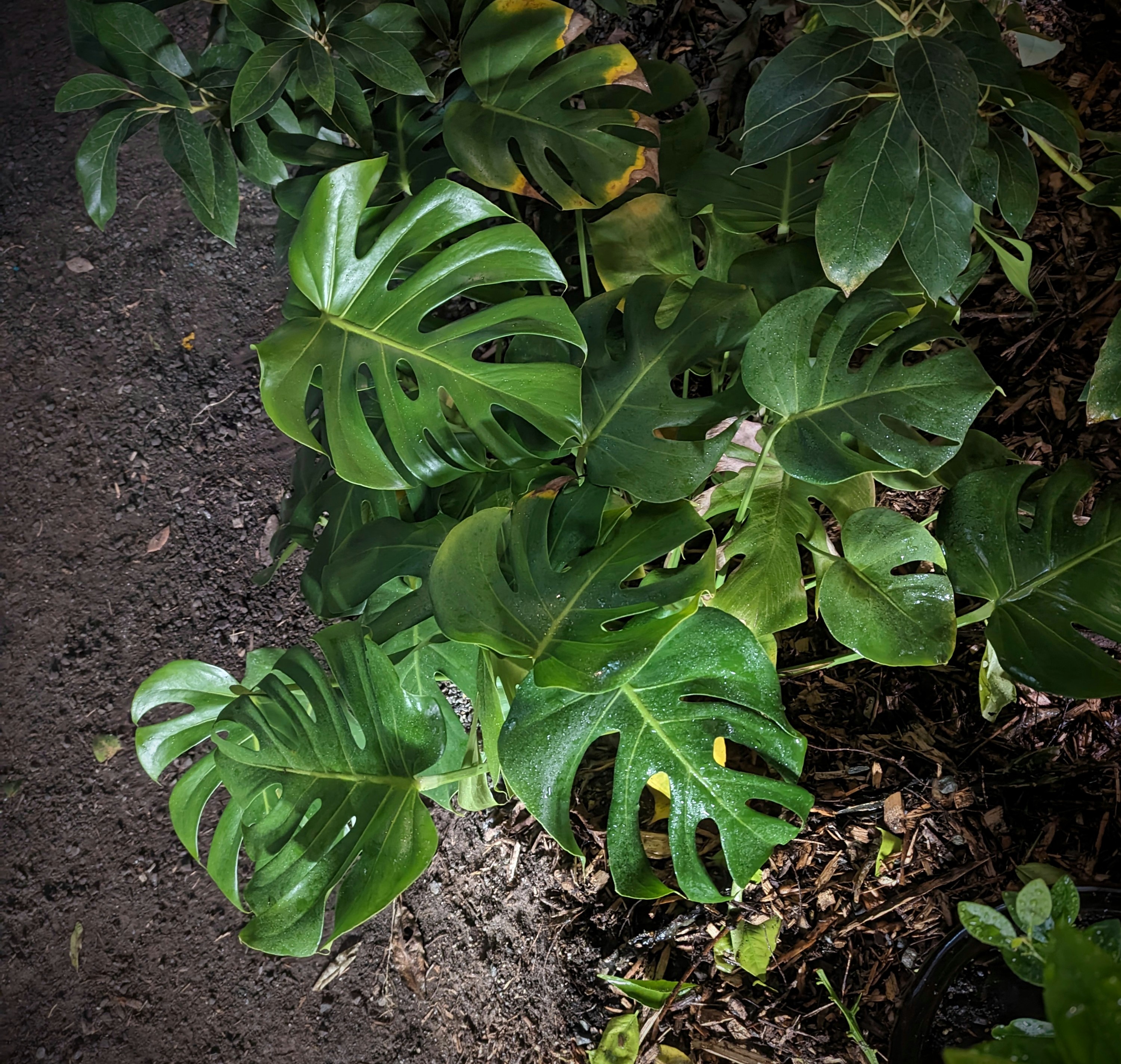 PXL 20240219 062939346 NIGHT — Postimages