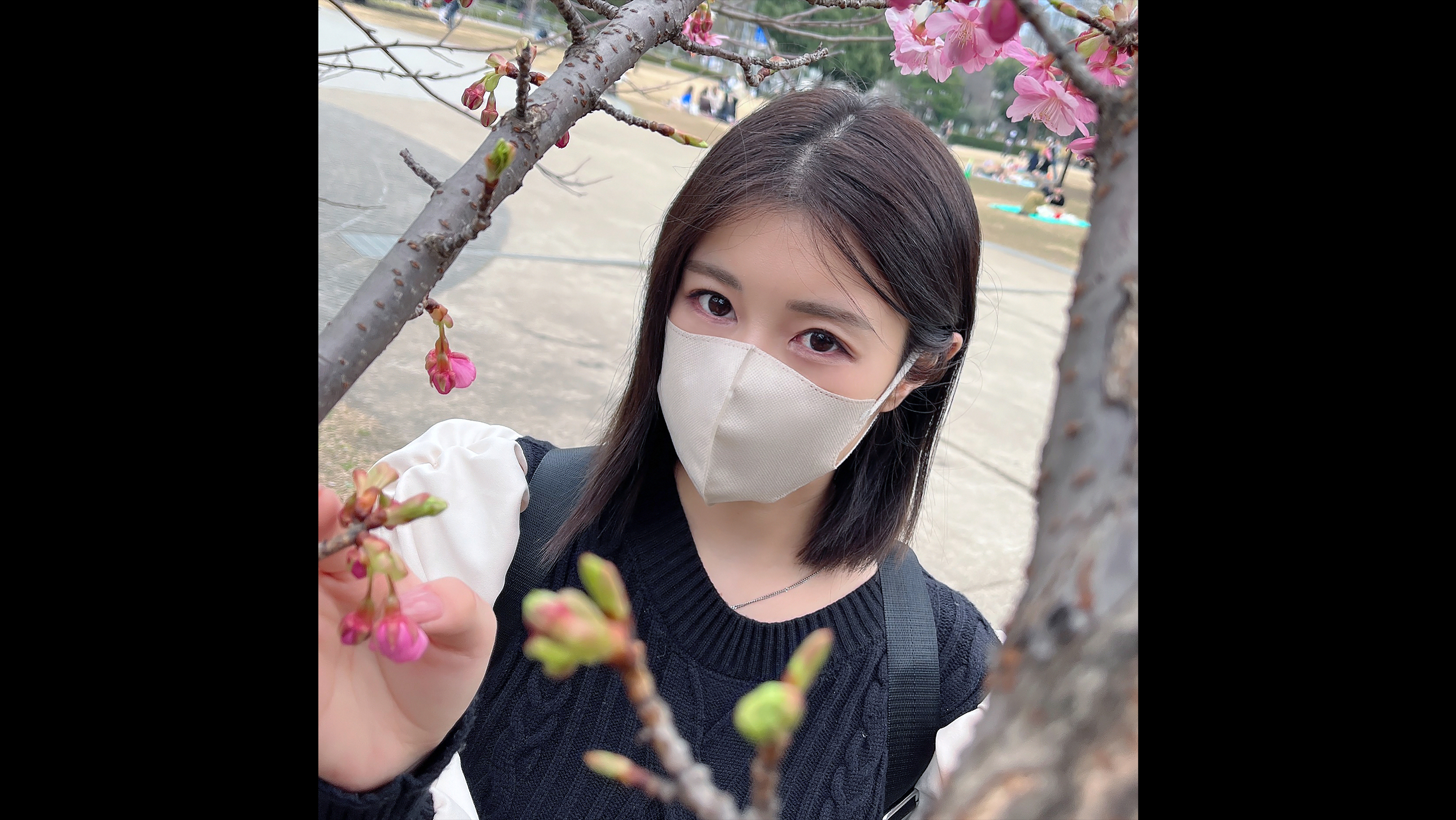 FC2 PPV 3253383 — Postimages