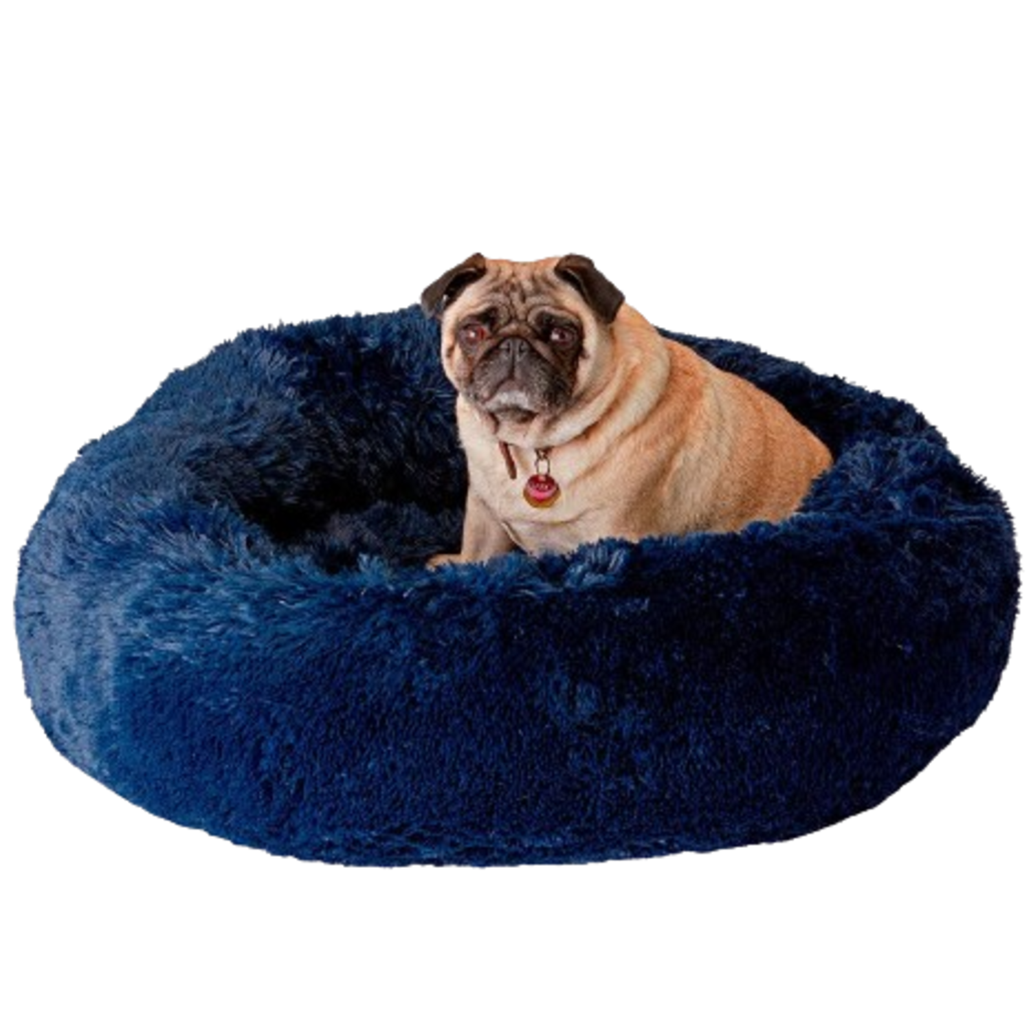 images ULTIMA removebg preview (1) (1) — Postimages