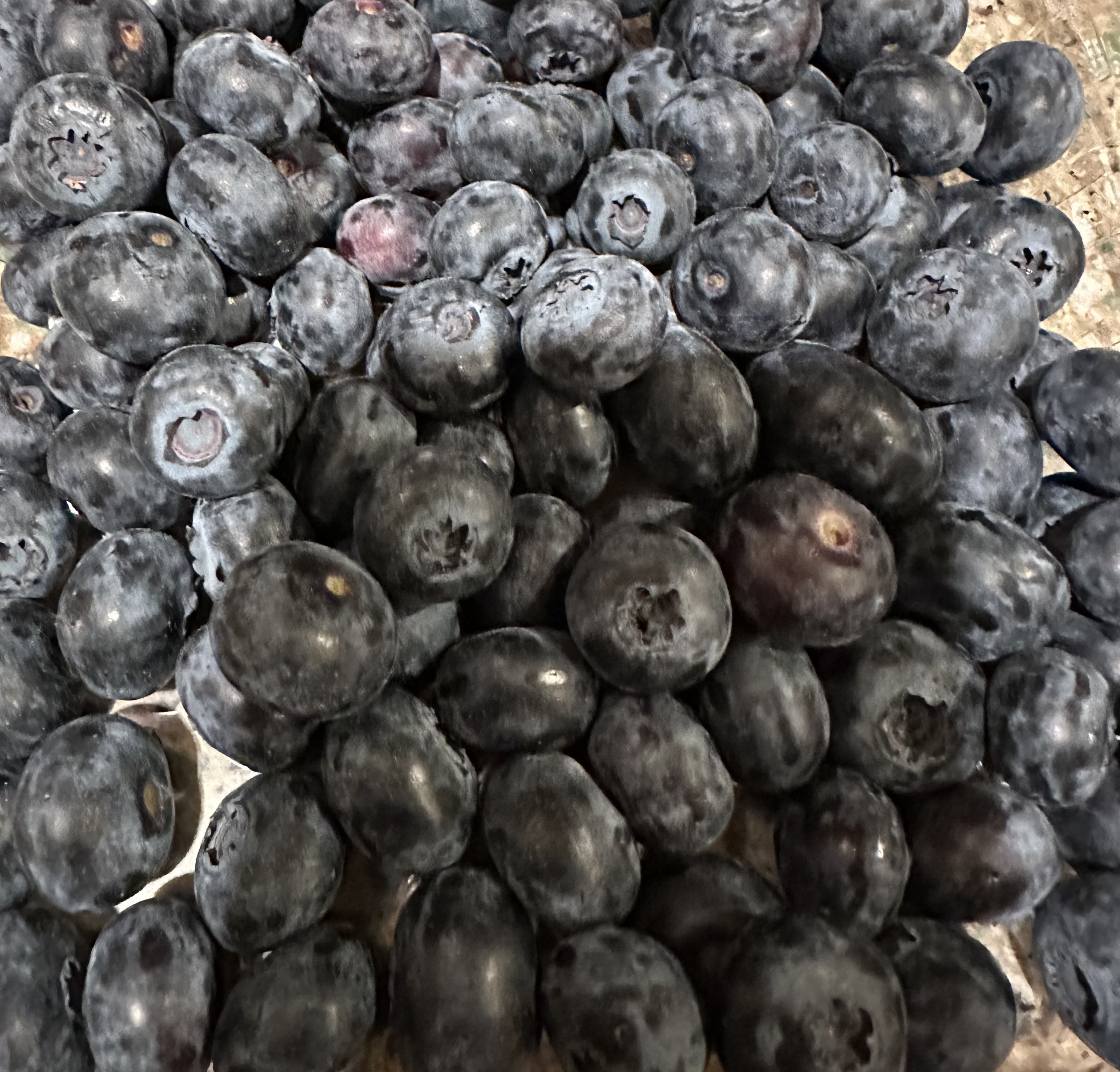 87 B8 E7 BA C394 40 F0 9683 C97 B2 B1 CE39 B — Postimages