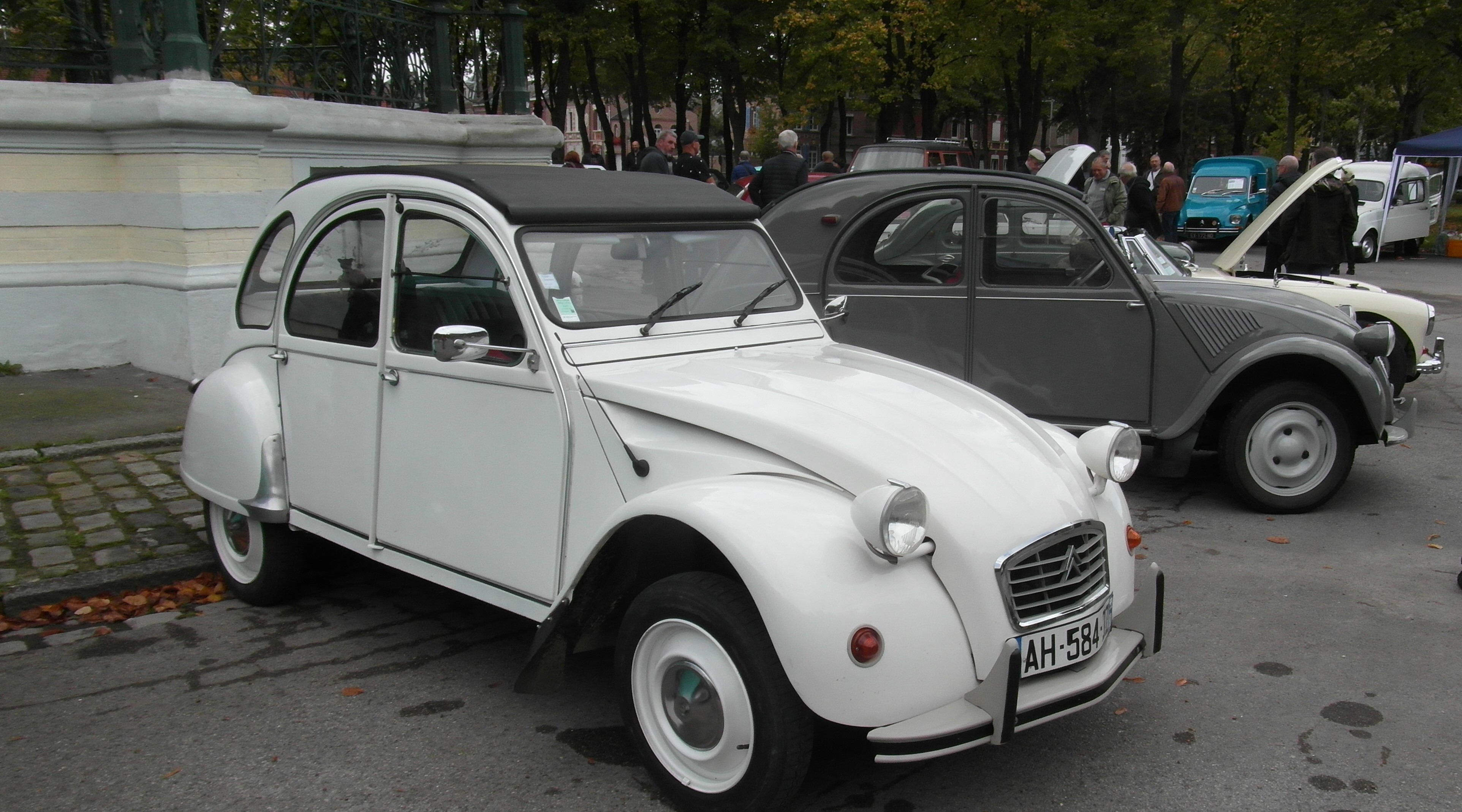 SAM 0762 — Postimages