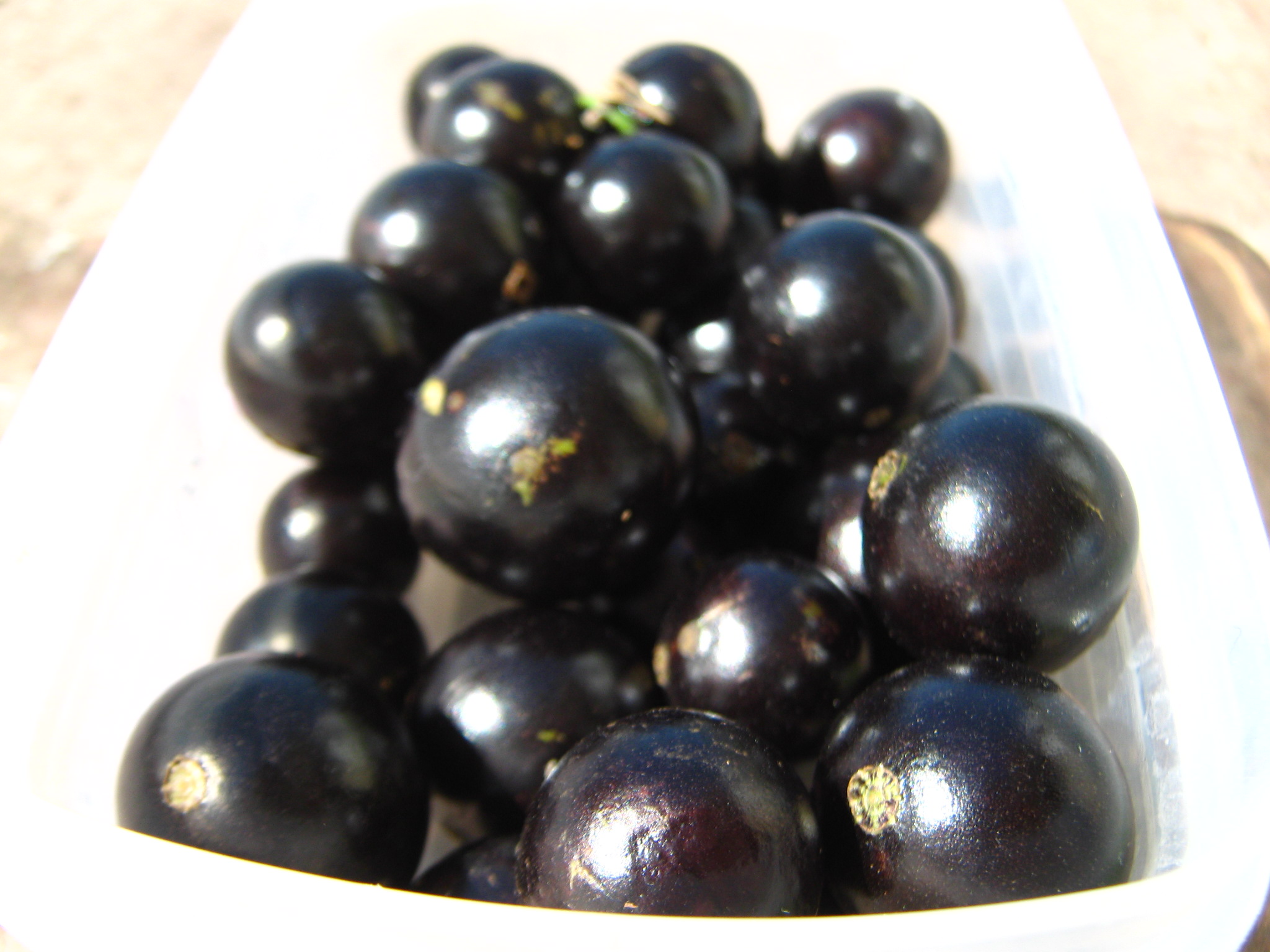 jaboticaba fruits 20140829 T122843 — Postimages
