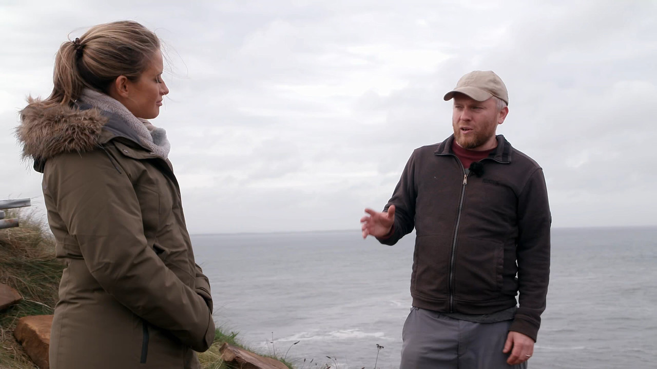 Landward 20221002 09251000 ts snapshot 30 09 871 — Postimages