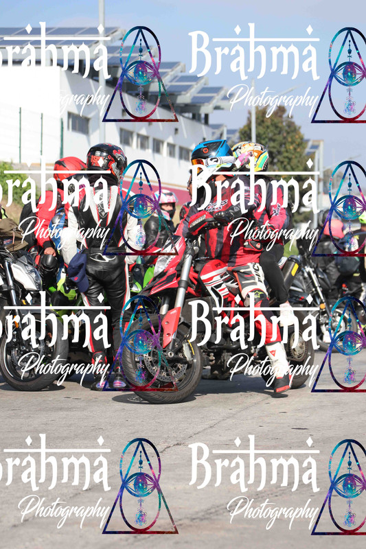 IMG 1209 — Postimages