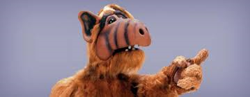 GC8PZAB Crop Signs 084 (Unknown Cache) in Texas, United States created ...