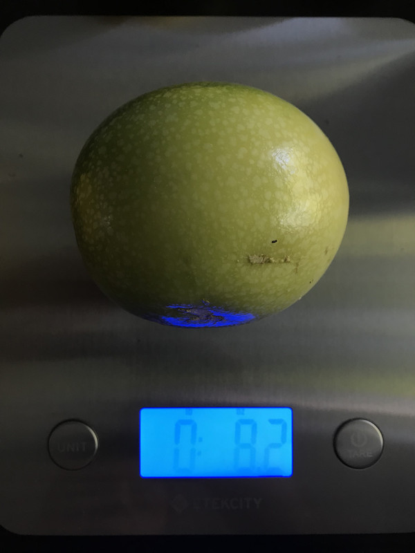 Passion Fruit Largo 112018 — Postimages