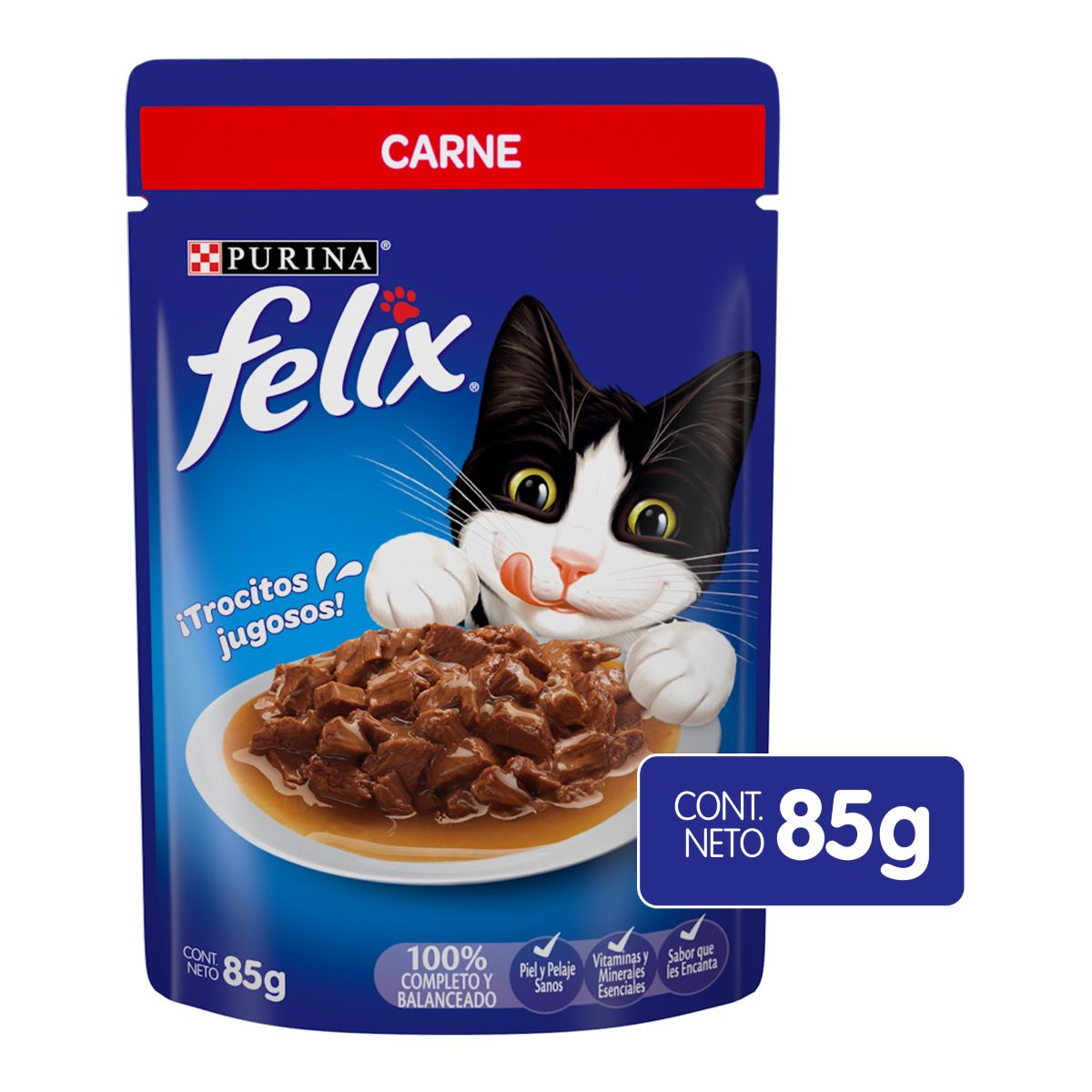 MX FELIX CARNE ECONT 0422 GR — Postimages