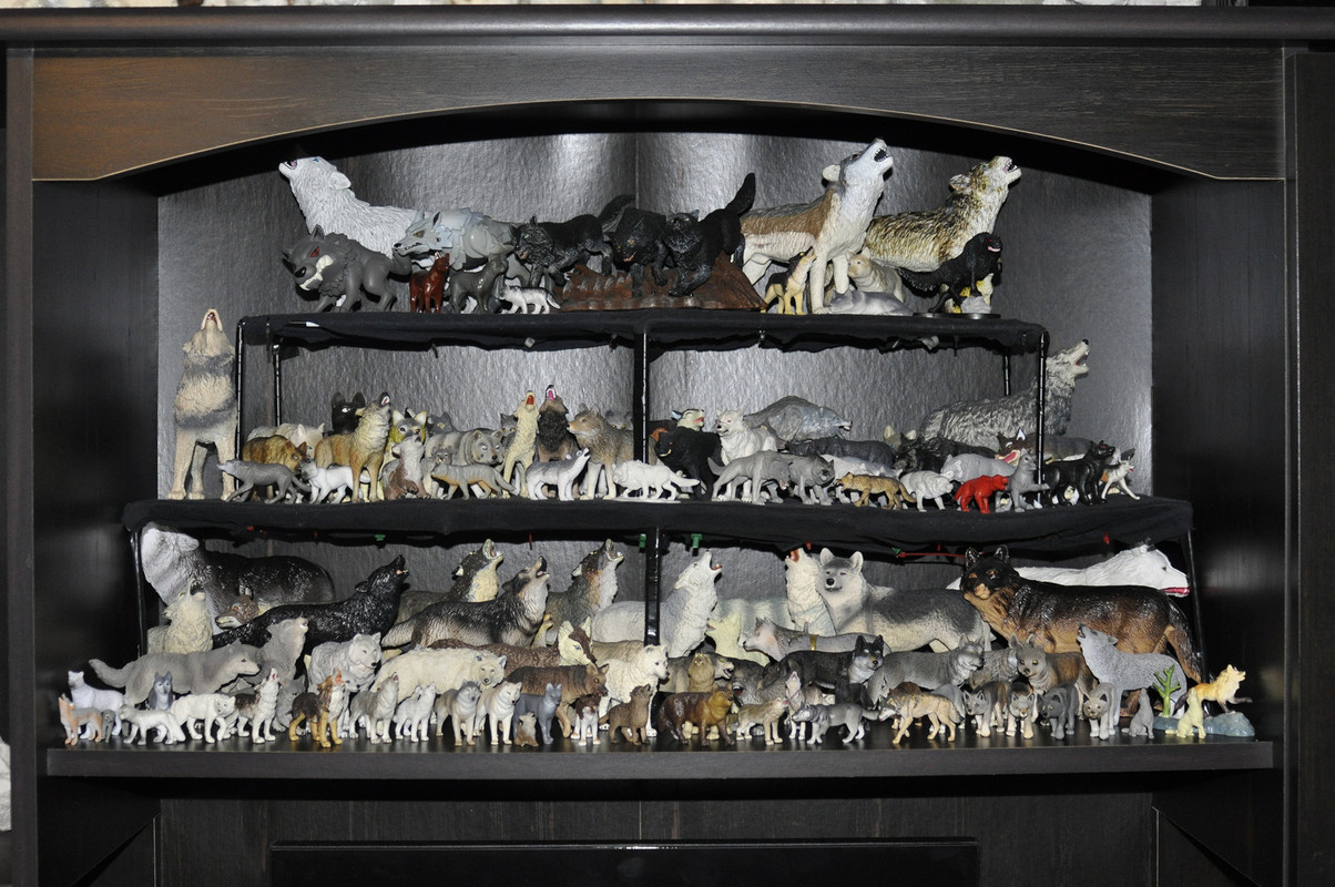 My Wolf Collection