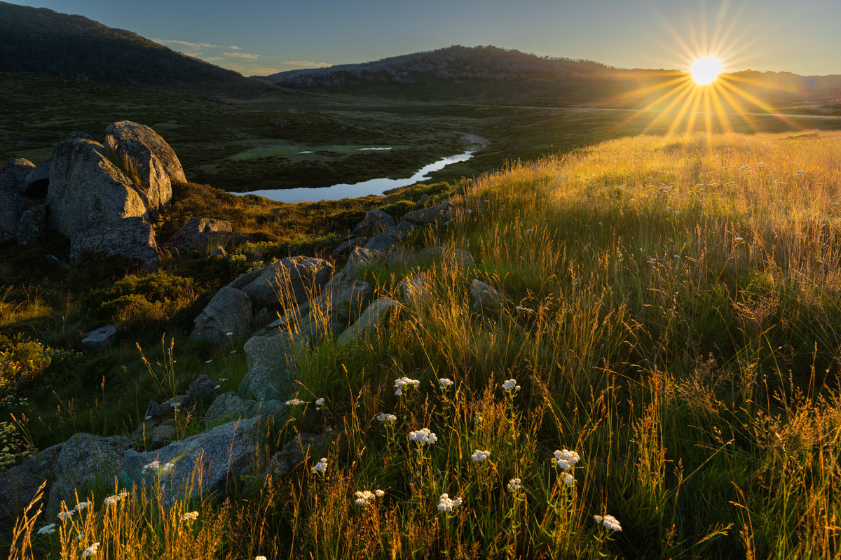 DSC03824 Edit — Postimages