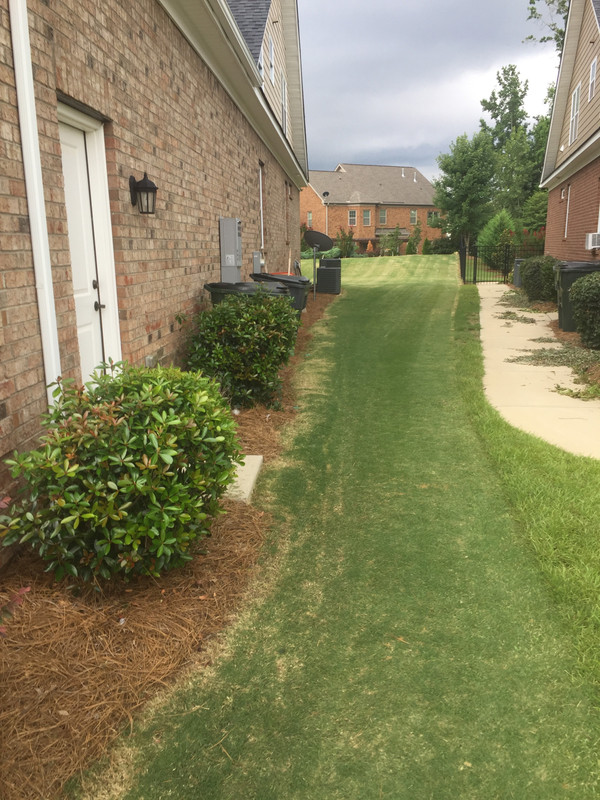 IMG 9385 — Postimages