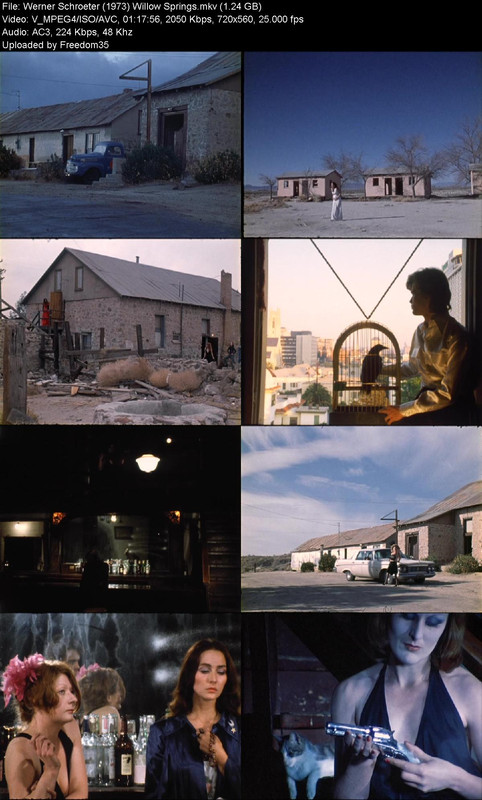 Werner Schroeter 1973 Willow Springs UNKRip German No Grp — Postimages