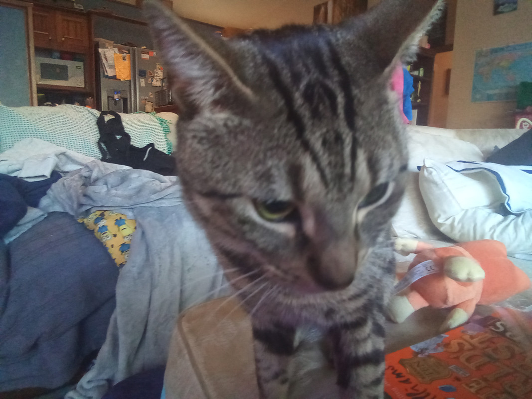 IMG 20200829 081230 607 — Postimages