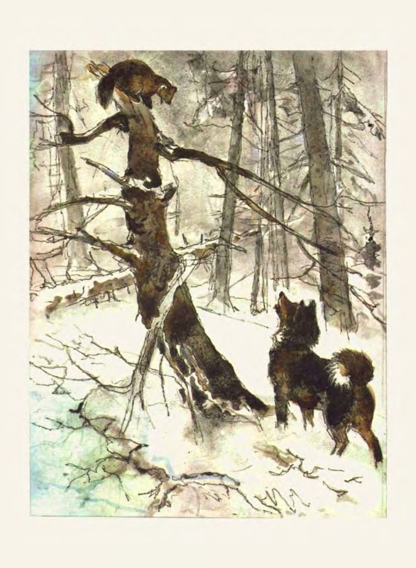 p0014 — Postimages