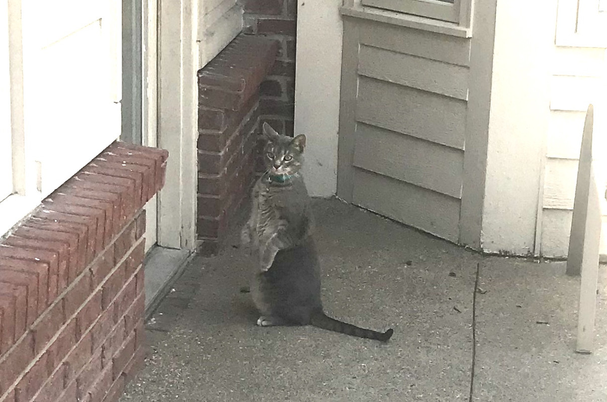 0 B77 B8 CB 08 A0 4706 A97 A 7 F7 CE5 AC3 F75 — Postimages