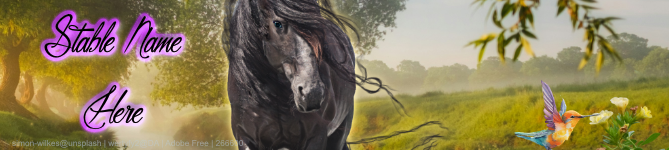 Horse Eden : Enchantment | Full Stable Set | Winner The Joker