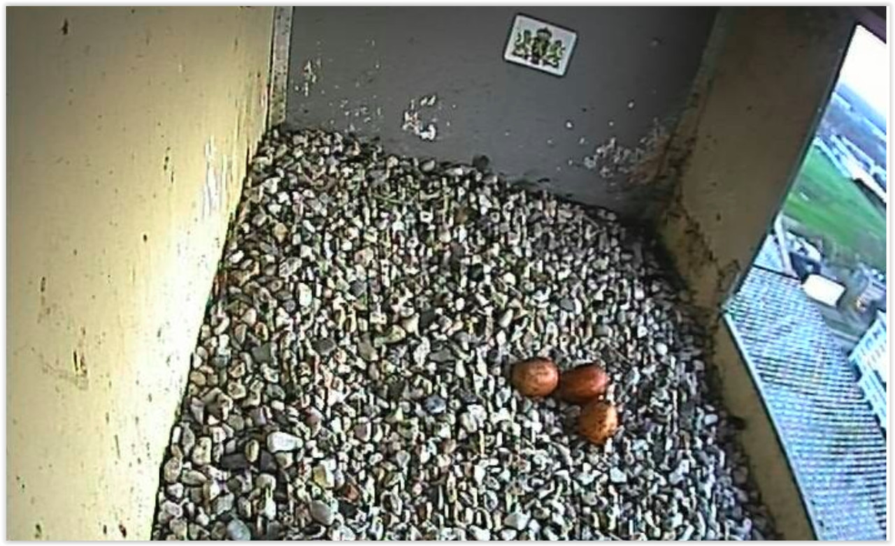 Screen Shot 03 25 23 at 07 02 AM — Postimages