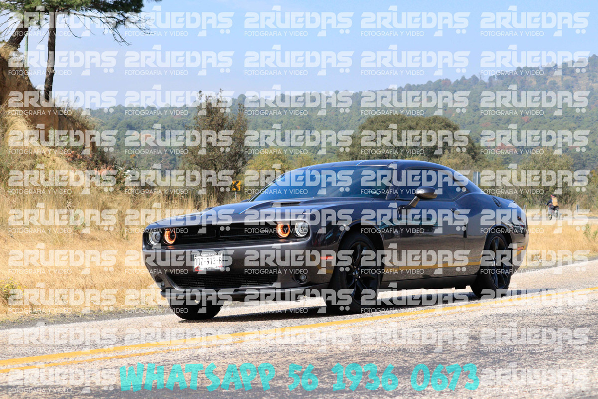 MG 0993 — Postimages