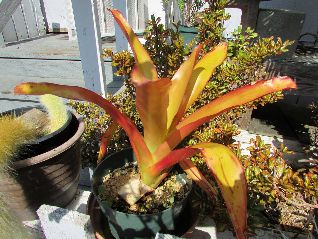 IMG 3788 (1) — Postimages