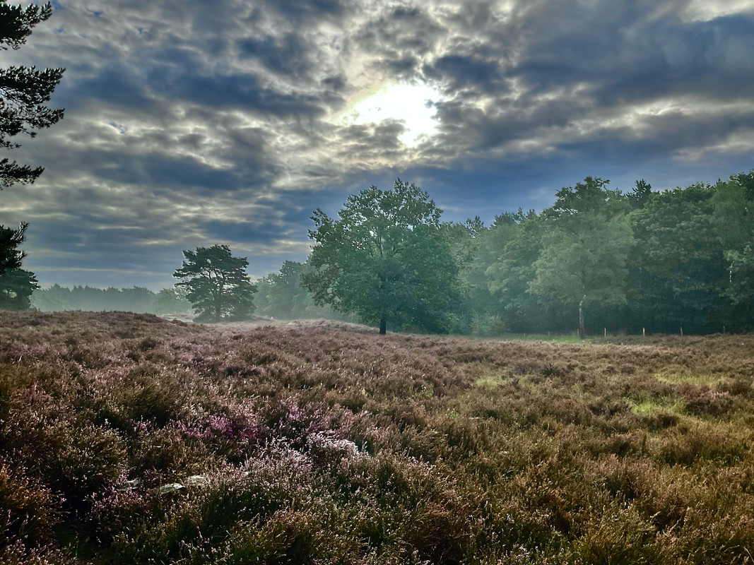 1 D97 E176 C16 A 4 B00 AB04 04 E7 B447611 D — Postimages