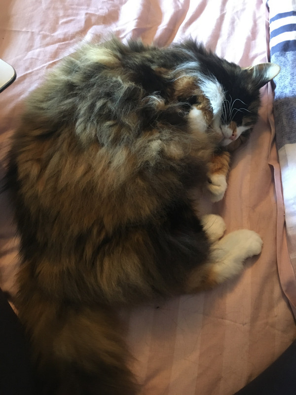 IMG 2075 — Postimages