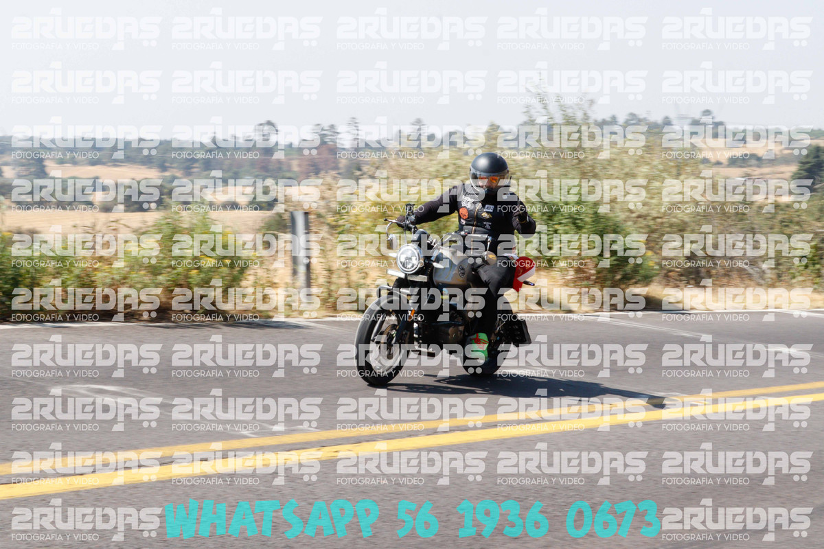 MG 0309 — Postimages