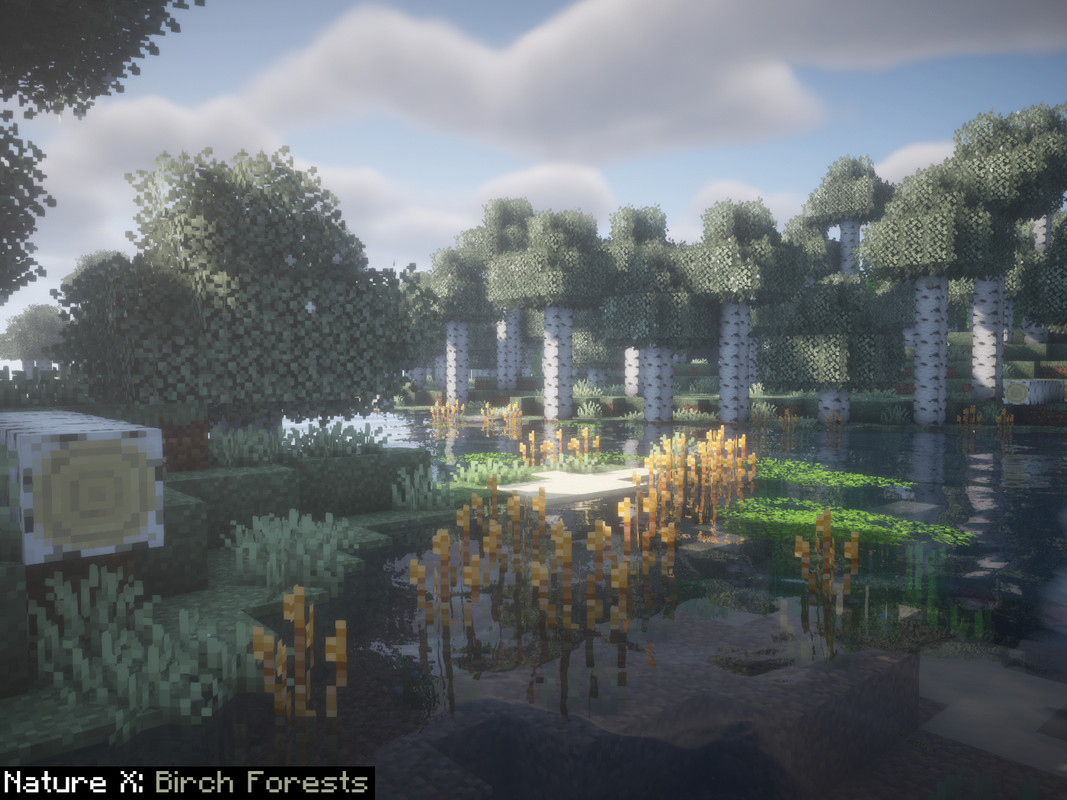 Nature X - Minecraft Resource Packs - CurseForge