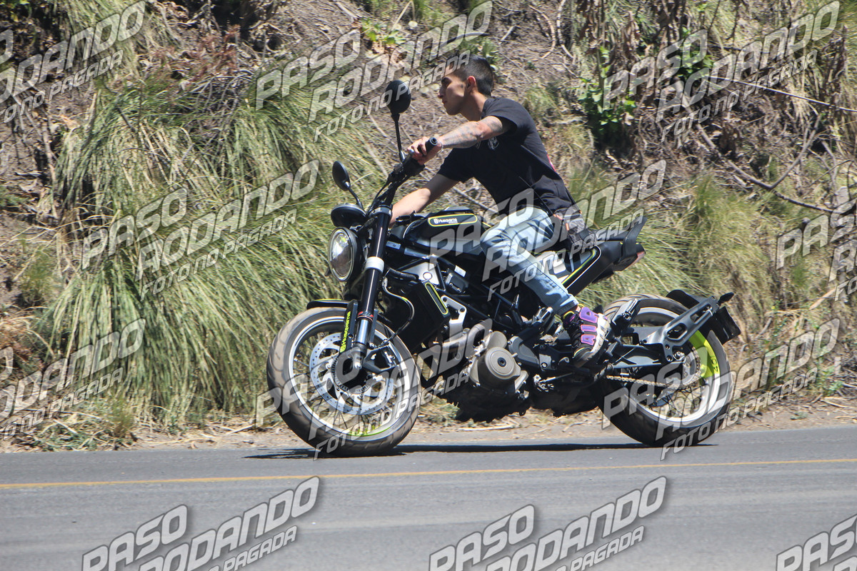 IMG 8352 wm 2703253 299999999 watermarked — Postimages