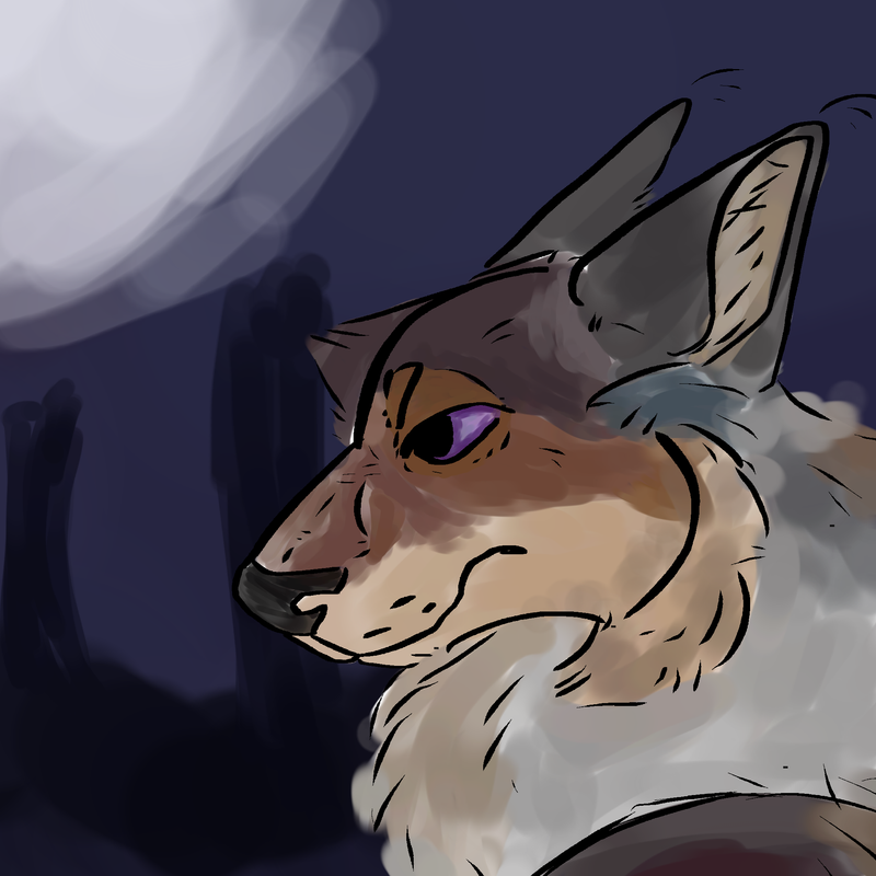 IMG 1902 — Postimages