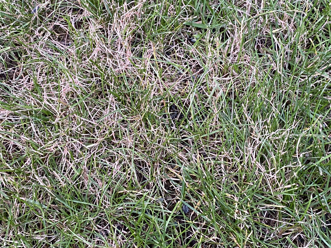 IMG 0505 — Postimages