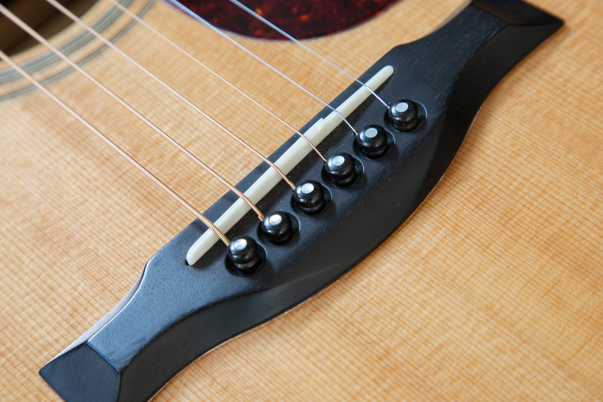 Ron Raport Santa Cruz F Model 8 — Postimages