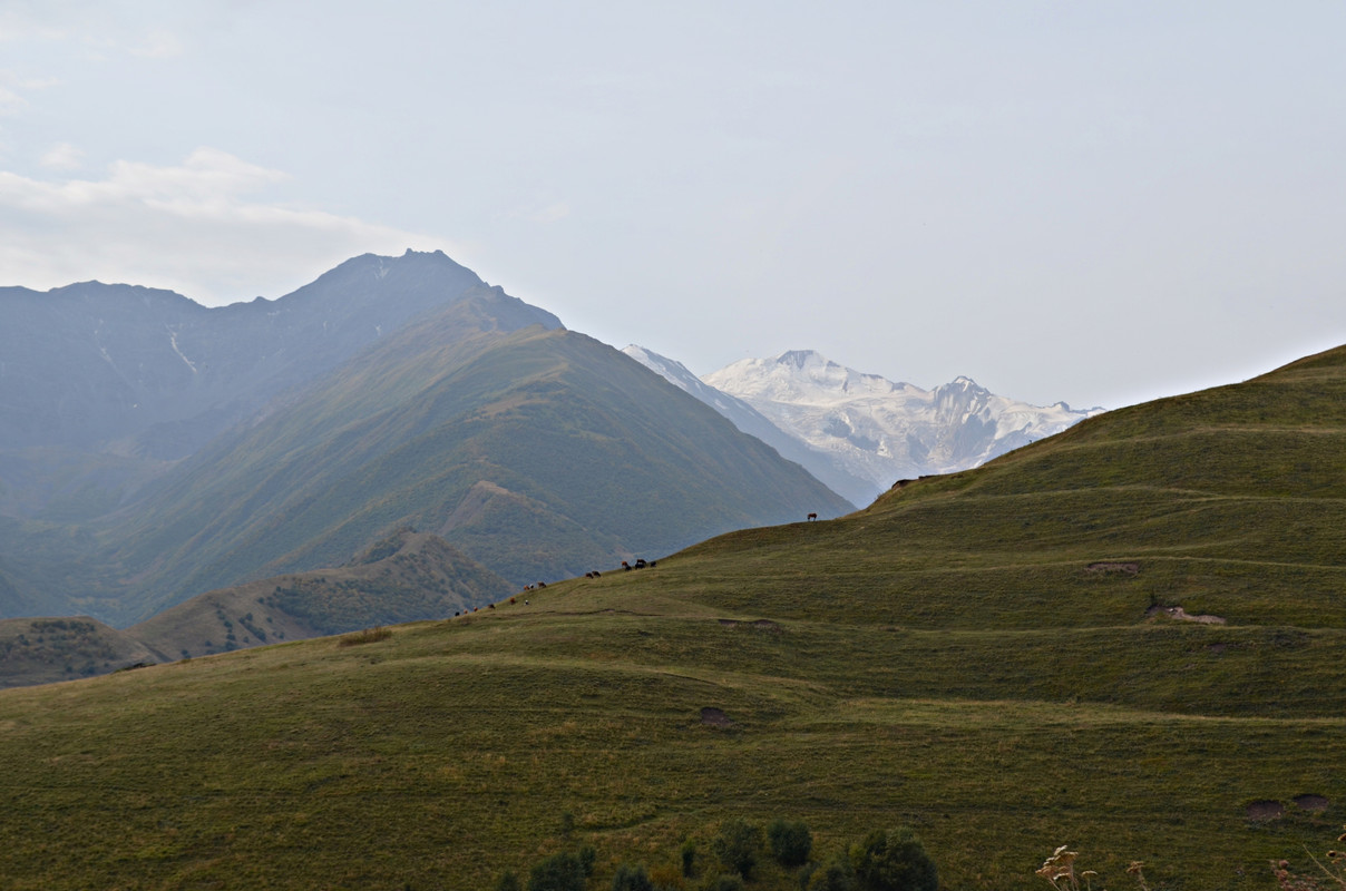 DSC 0568р — Postimages