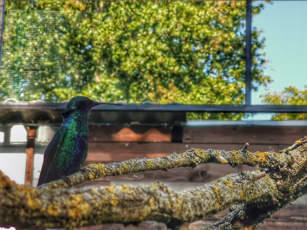 IMG 20200807 162627 01 01 — Postimages