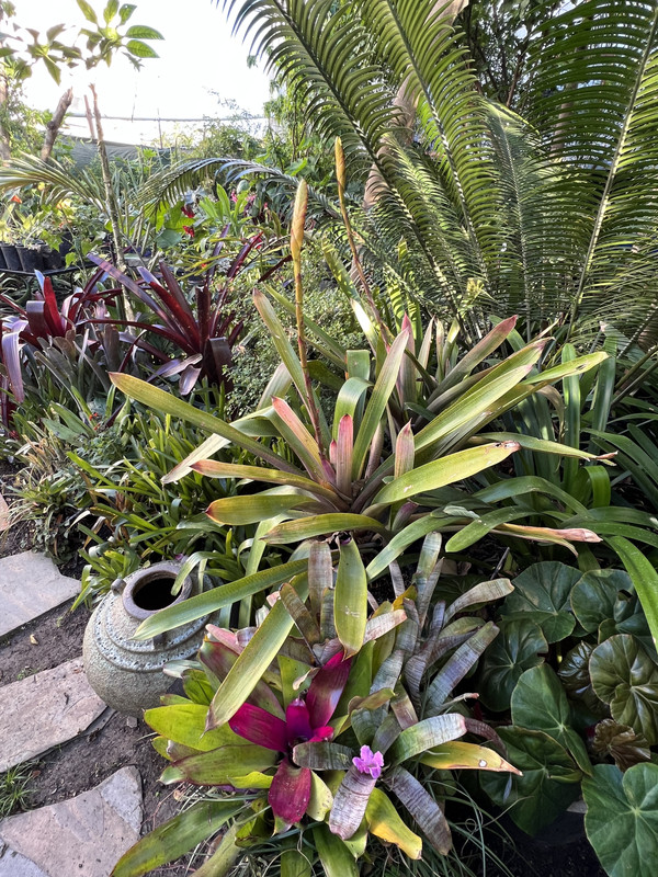 IMG 4037 — Postimages