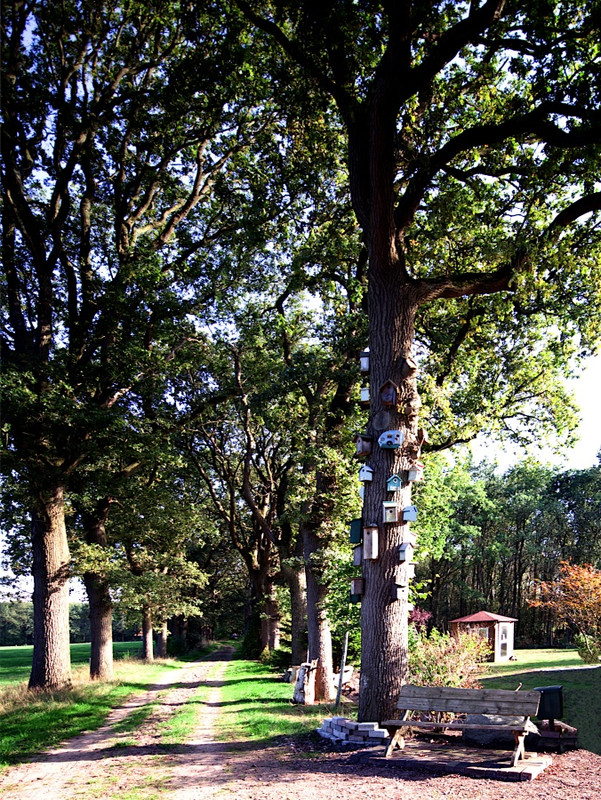 LG 14478 II — Postimages