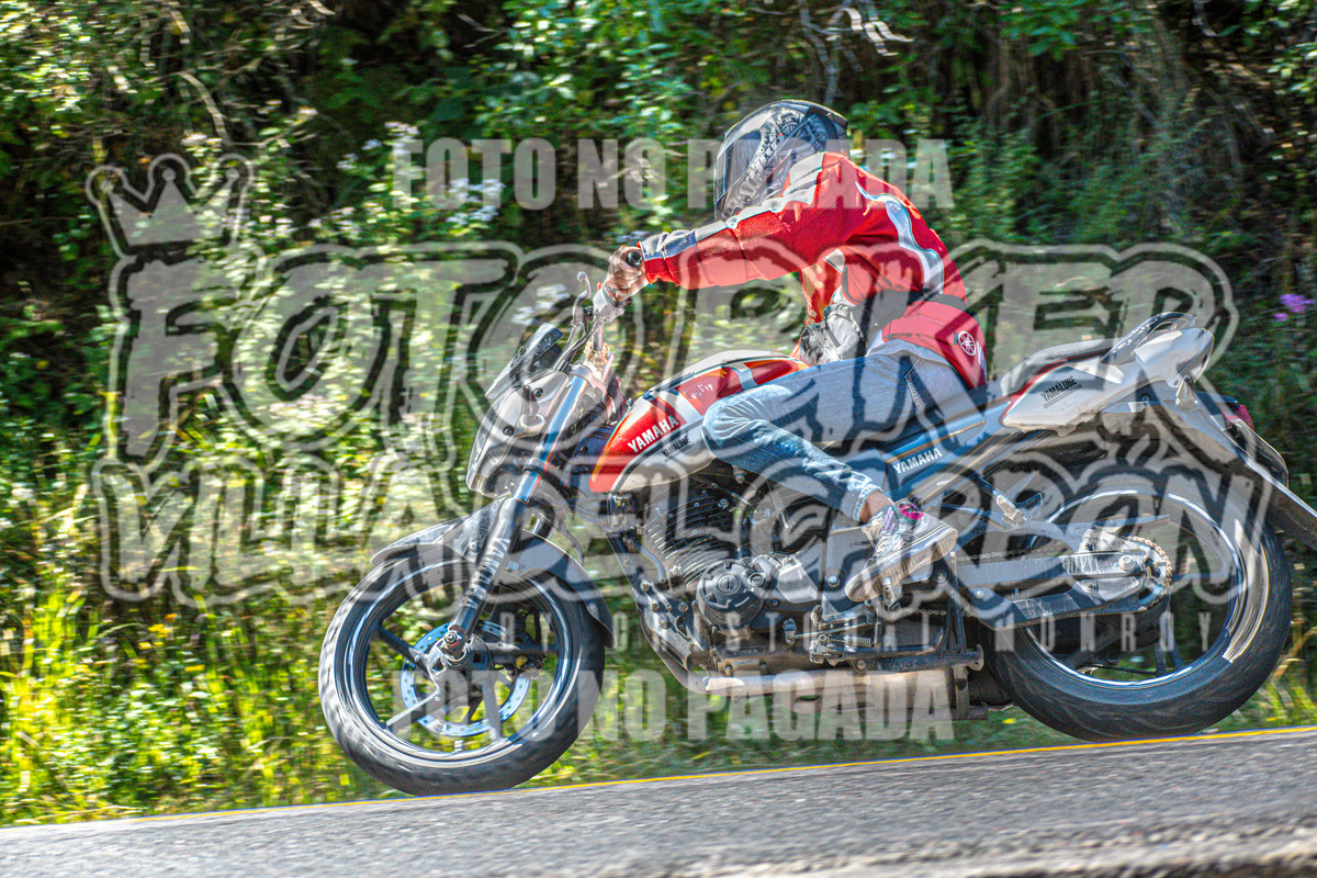 C1 P1 (102) — Postimages