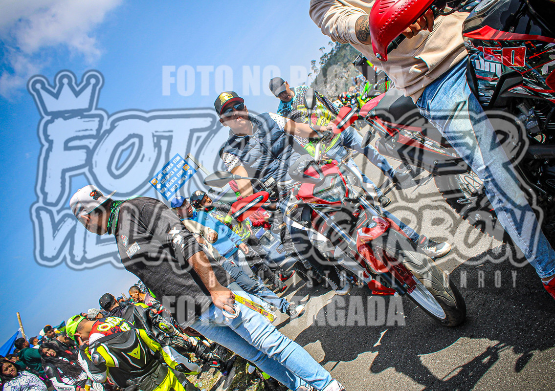 pal1 2008 — Postimages