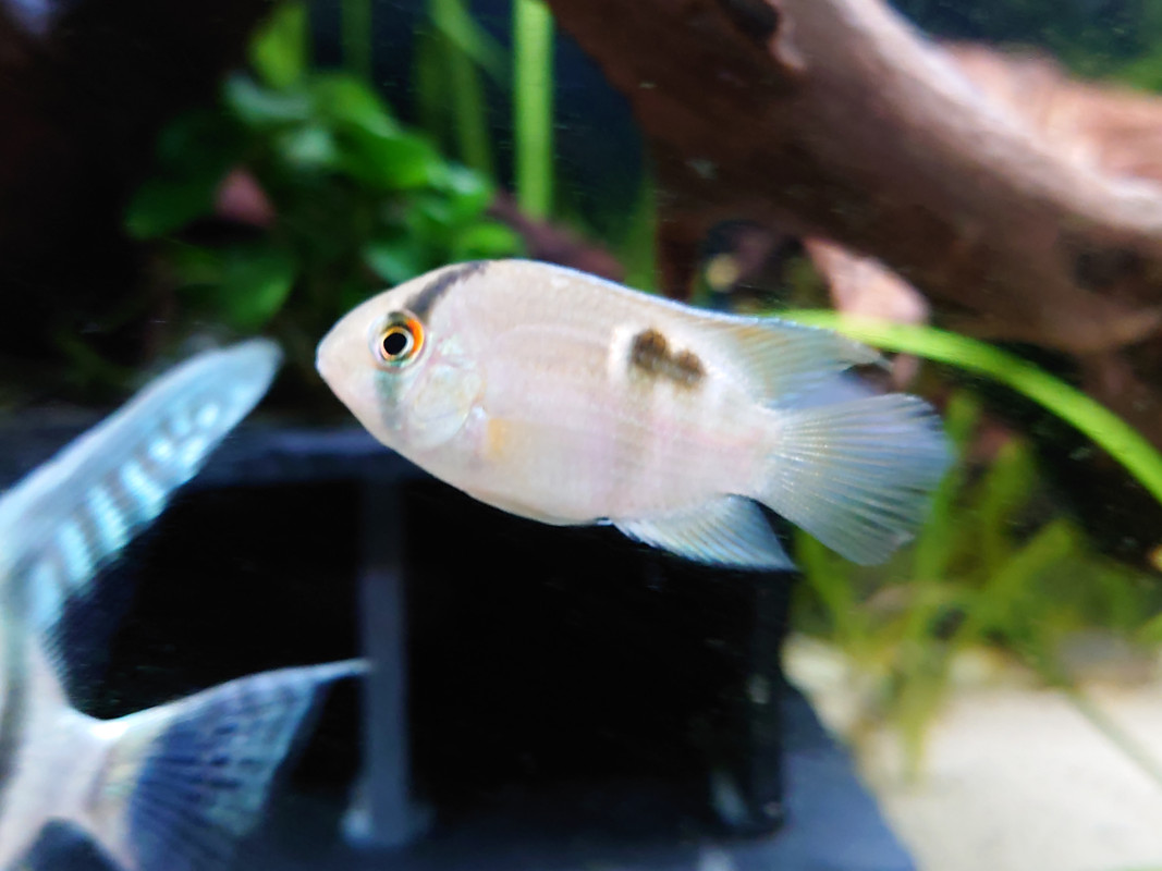 DSC 0799 — Postimages